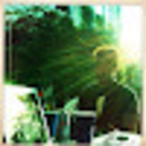 Marcellus Wilson Sharegrid