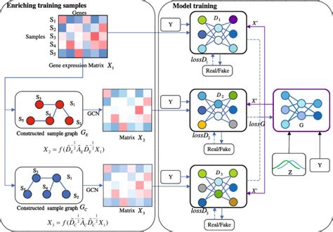 Mdwgan Gp Data Augmentation For Gene Expression Data Based On Multiple Discriminator Wgan Gp Pmc