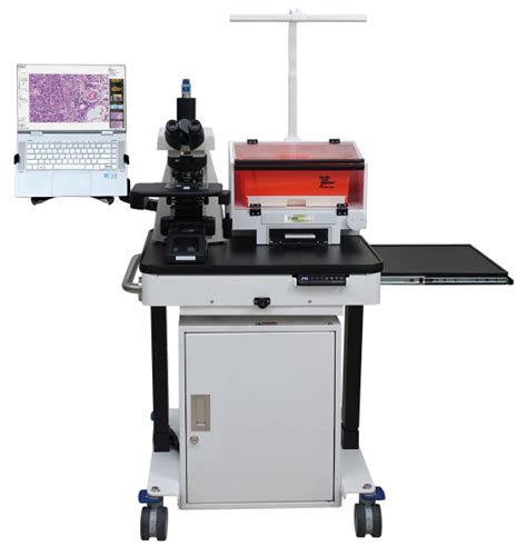 Pathology Microscope Cameras And Imaging Software Spot