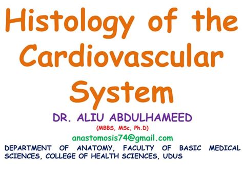 Histology Of The Cardiovascular System Pptx