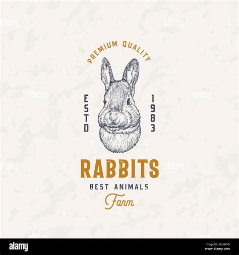 Rabbit Meat Farm Retro Badge Logo Template Hand Drawn Animal Face