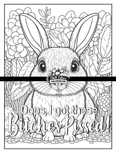 Funny Swear Words Coloring Book Chill Colors Publishing