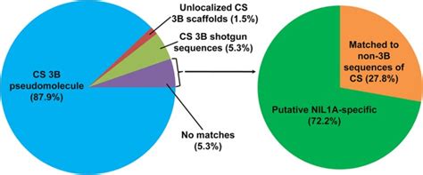 Chromosome Specific Sequencing Reveals An Extensive Dispensable Genome
