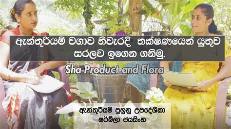 ඇන්තූරියම් වගාව නිවැරදි තාක්ෂණයෙන් යුතුව ඉගෙන ගනිමු Anthurium Learning