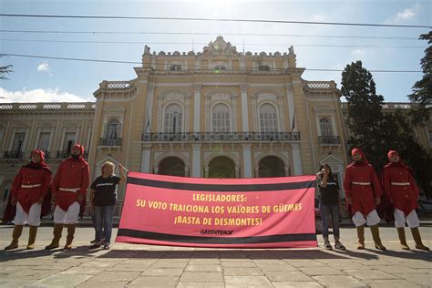 Fundación Greenpeace Argentina Noticias