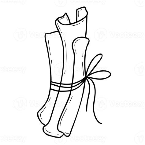 Cinnamon Stick Illustration 11358131 Png