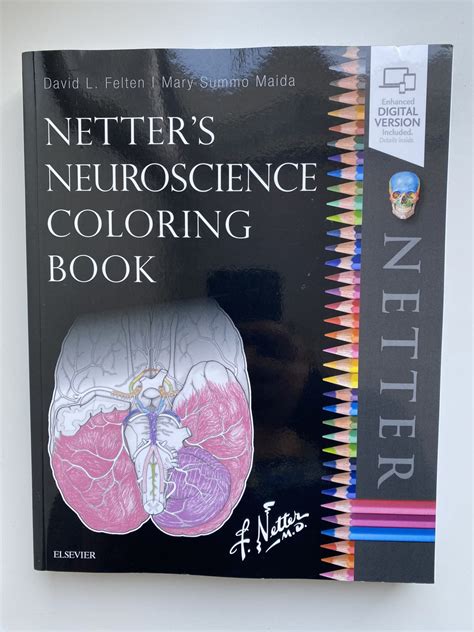 Netters Neuroscience Colloring Book
