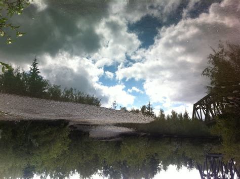 This Picture Is Actually Upside Down Imgur
