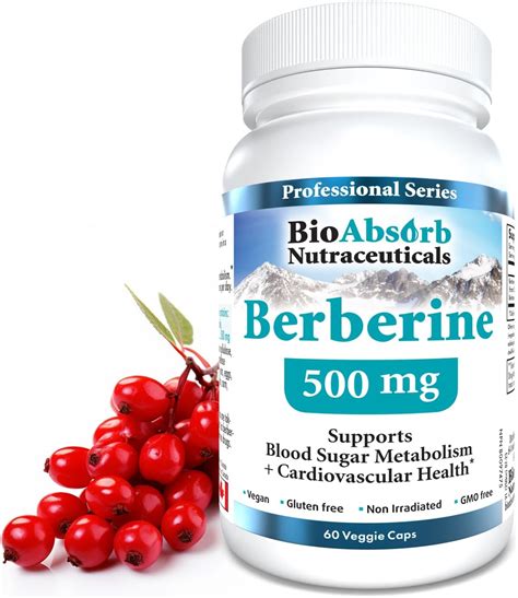 Berberine 500mg Supplement 97 Tested Purity Berberine Supplements