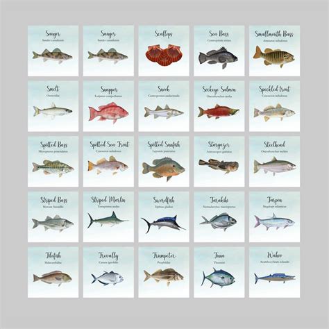 Fish Seating Charts Fishing Seating Cards Fish Seating Etsy