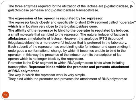 Gene Regulation In Prokaryotes Pptx