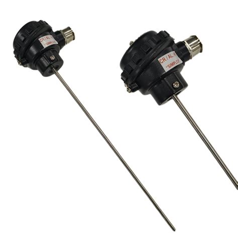 Pt 100 3 Wire Simplex Rtd Complete With Head Assembly And Cable Gland 3 4 Immersion Length Of