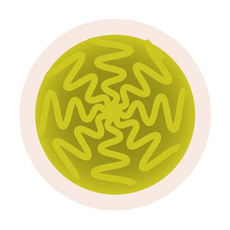 60개 이상의 Wasabi Paste 스톡 일러스트 Royalty Free 벡터 그래픽 및 클립 아트 Istock