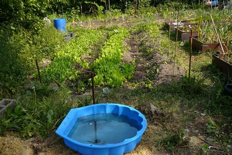 Les Jardins Du Laveu Un Pas De Plus Vers La Biodiversité Au Jardin La