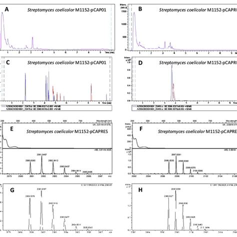 Structures Of Res 701 3 4 Pre Lasso Conformation Download Scientific Diagram