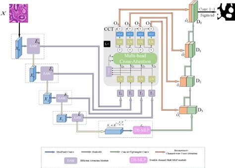 Figure 1 From Hea Net Attention And Mlp Hybrid Encoder Architecture