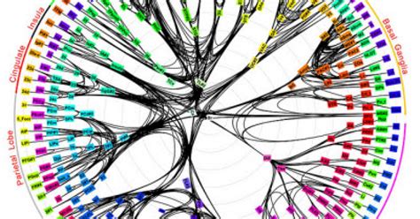 IBM Unveils Cognitive Computing Chips HardwareZone Com Sg