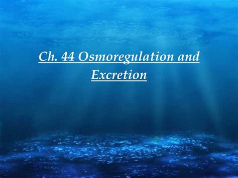 Ppt Ch 44 Osmoregulation And Excretion Powerpoint Presentation Free