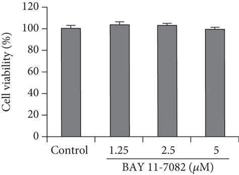 Effects Of Various Signaling Pathway Inhibitors On The Cell Viability