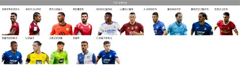 21a 호펜하임볼프스묀헨 미페모음 Ea Fc 온라인 에펨코리아