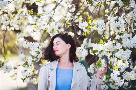 봄 야외에서 흰색 개화 벚꽃 가지에 흐르는 머리를 가진 젊은 예쁜 여자의 초상화 3월에 대한 스톡 사진 및 기타 이미지 3월 4월 개화기 Istock