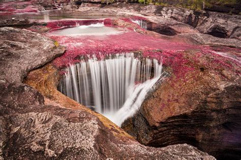 Parques Naturales De Colombia Seleccionados Entre Los Mejores Destinos