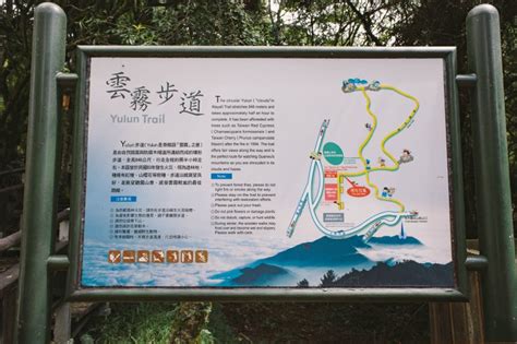 遠眺聖稜線！新竹觀霧海拔2100m ！雲霧步道！輕鬆好走，僅需30分鐘適合散步親子同遊 健行筆記