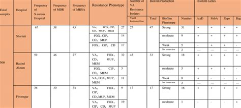 Screening And Determining The Frequency Of Staphylococcus Aureus Mrsa