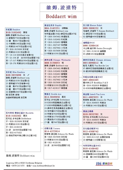 116賽鴿網台灣最專業的賽鴿網站 持續更新國內外各種賽鴿資訊種鴿網拍代辦進口鴿交流