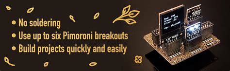 Breakout Garden Für Raspberry Pi Amazon De Computer And Zubehör