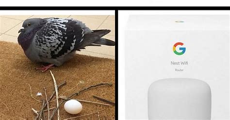 A Varied Diet Album On Imgur