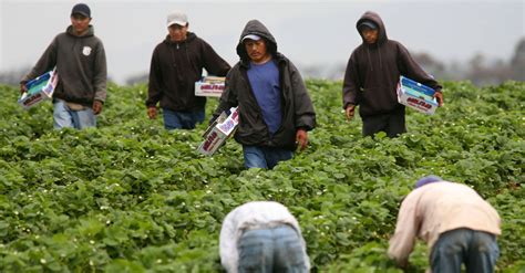 Recomendaciones Para Inmigrantes Mexicanos En Estados Unidos Más De