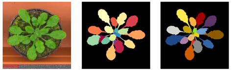 GitHub Gymoon10 Instance Segmentation With Discriminative Loss