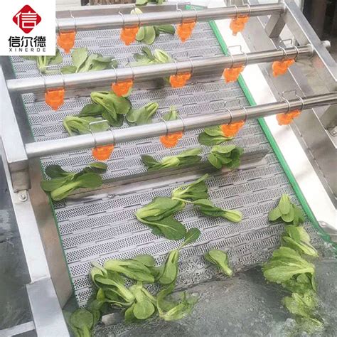 供应蔬菜清洗机酸菜清洗设备水果辣椒清洗机果蔬清洗流水线虎窝淘