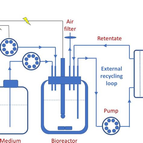 Bioreactor Design For Continuous Propionic Acid Production With Cell