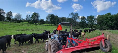 Practices — Orinoco Cattle