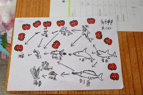 海底的食物链 海底食物链 第6页 大山谷图库