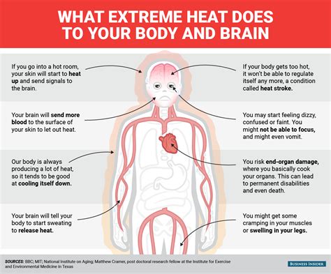What Happens To Your Body And Brain When You Get Too Hot What