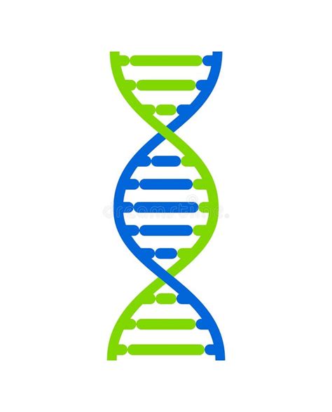 Abstract DNA Strand Symbol Isolated On White Background Vector