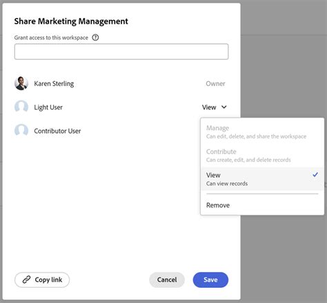 使用adobe Workfront Planning时的许可证类型概述 Adobe Workfront