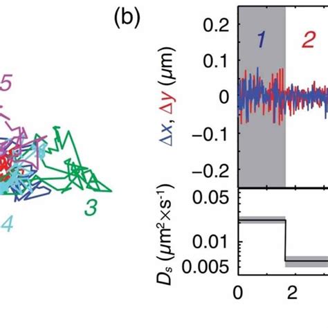 Dendritic Cell Specific Intercellular Adhesion Molecule Three Grabbing