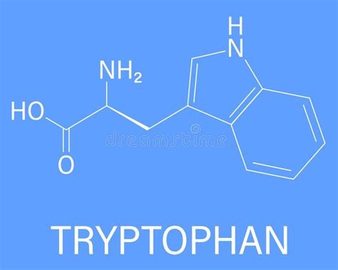 Tryptophan Amino Acid Molecule Stock Illustrations 210 Tryptophan