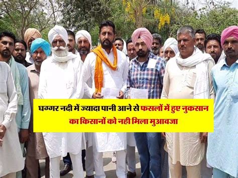घग्गर नदी में ज्यादा पानी आने से फसलों में हुए नुकसान का किसानों को नही