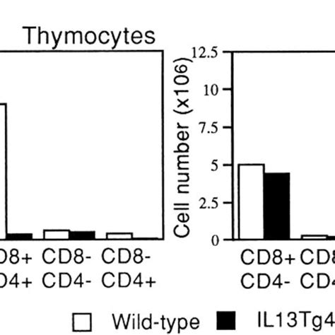 Thymocyte Number And Surface Phenotype A Single Cell Suspensions Download Scientific Diagram