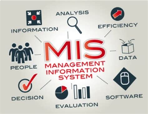 Unlock Business Potential The Power Of Management Information Systems