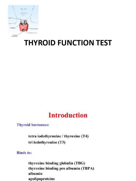 Thyroid Function Tests Overview Pdf Self Improvement Wellness