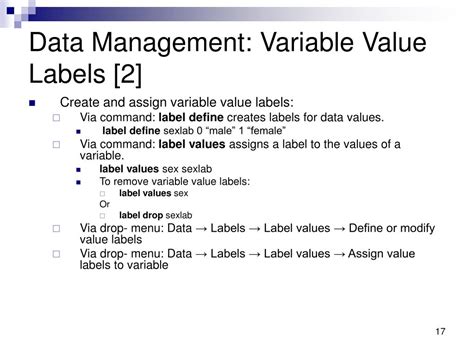 Ppt How To Begin Using Stata Powerpoint Presentation Free Download