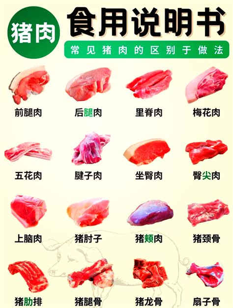 🥩猪肉16部位大解析🔍