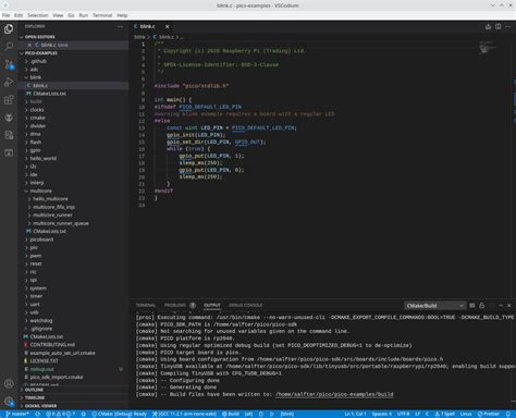 Gentoo Raspberry Pi Pico SDK VSCodium Getting It All Working