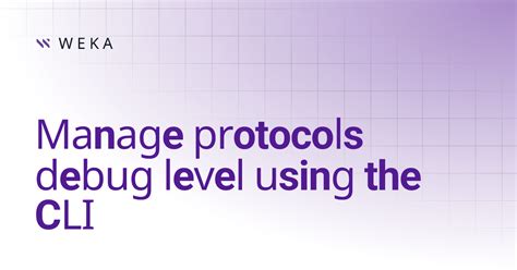 Manage Protocols Debug Level Using The CLI W E K A